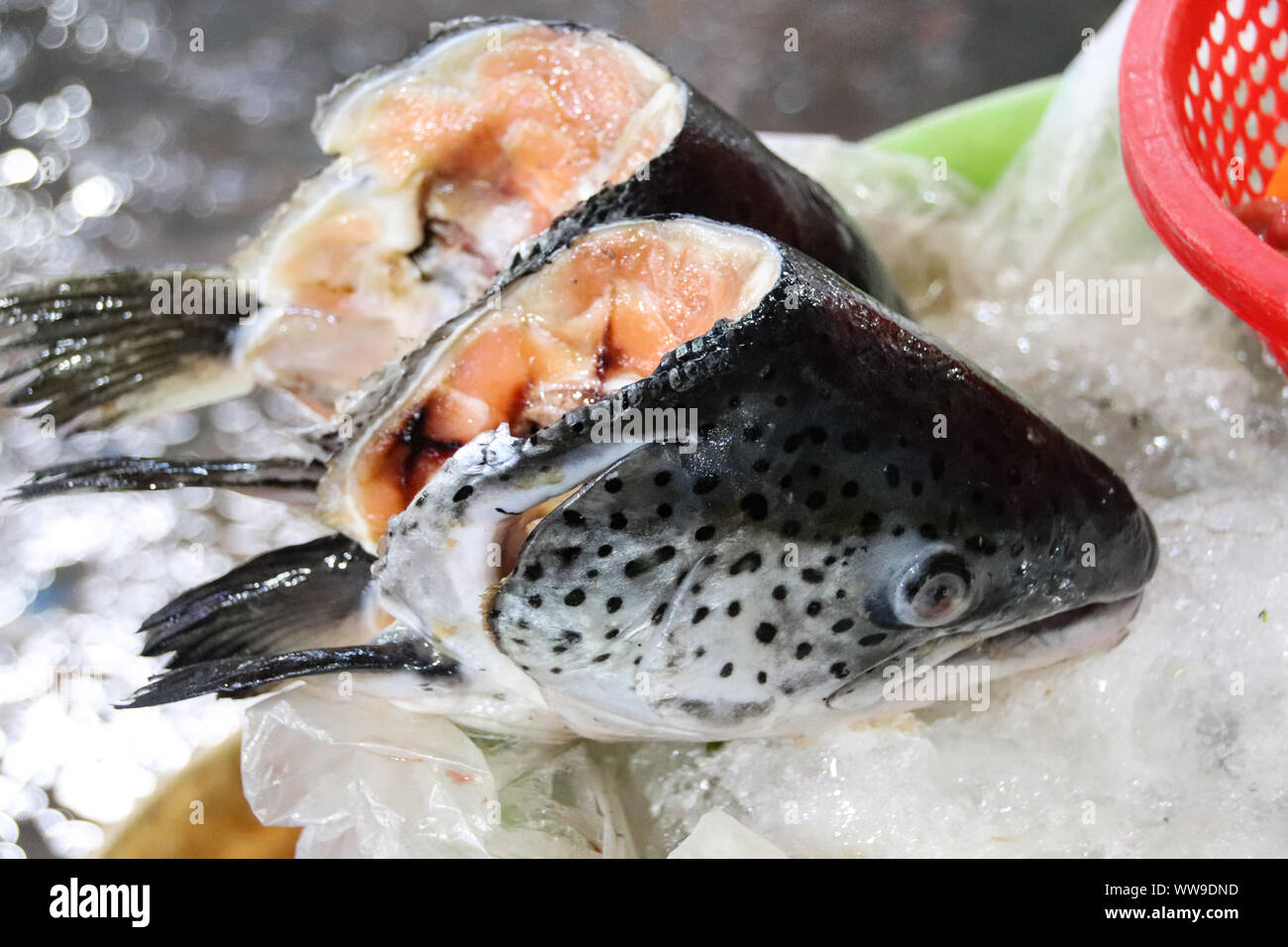 Salmon fish head on ice sold at a local market in Vietnam showing ...