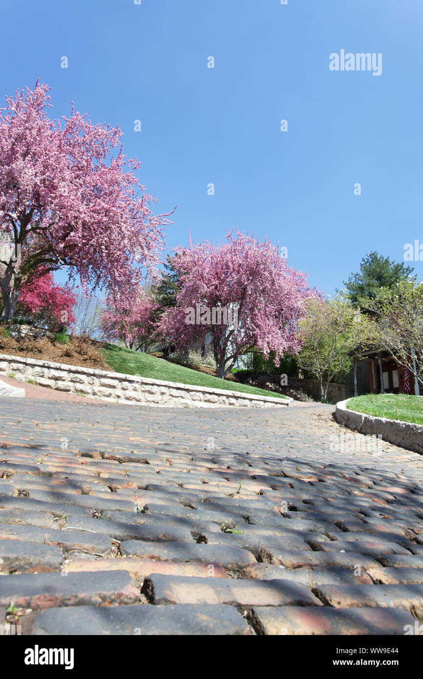 Historic Snake Alley; crookedest street in the world, in Burlington ...