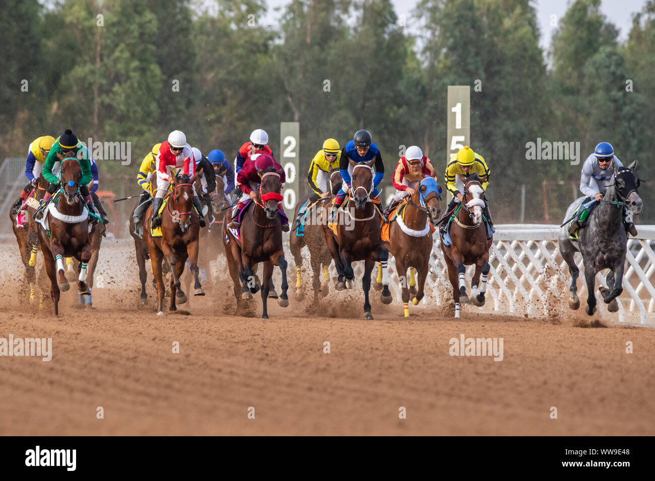 Horse racing at King Khalid Racetrack, Taif, Saudi Arabia, 14/06/2019 ...