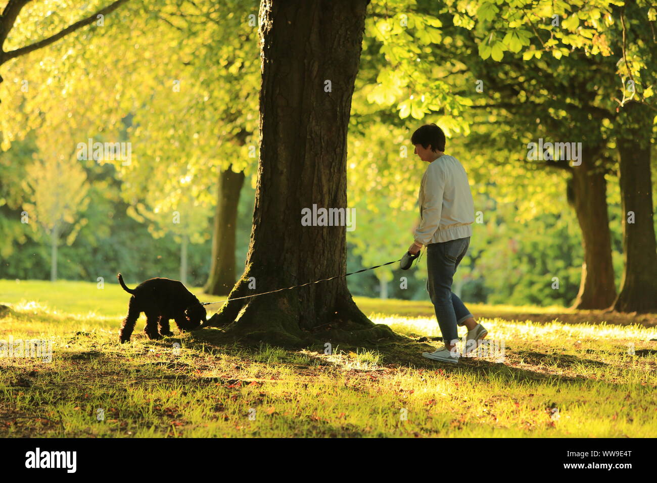 People walk their dogs while out in the September evening light at a ...