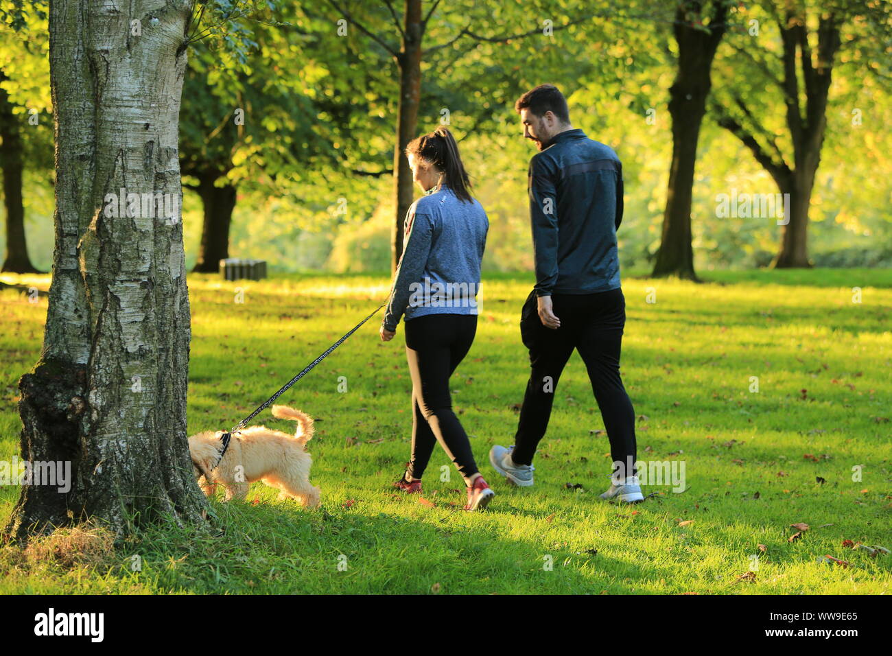 People walk their dogs while out in the September evening light at a ...