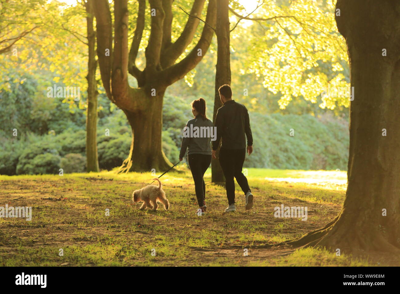 People walk their dogs while out in the September evening light at a ...