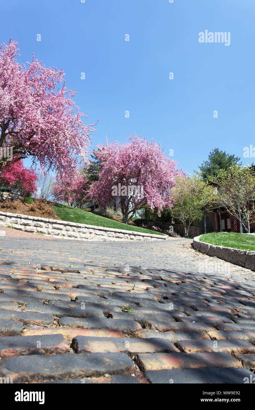 Historic Snake Alley; crookedest street in the world, in Burlington ...
