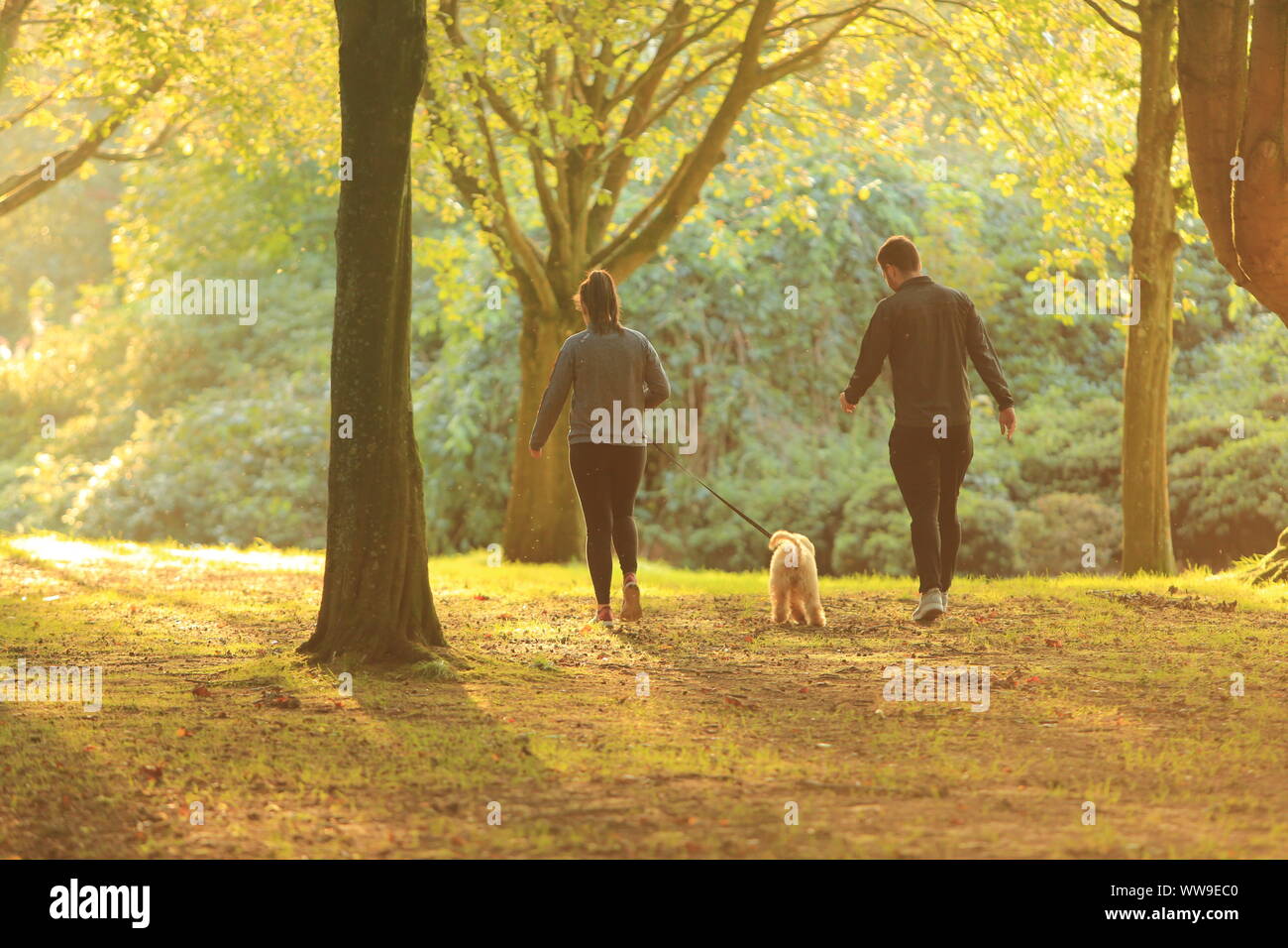 People walk their dogs while out in the September evening light at a ...