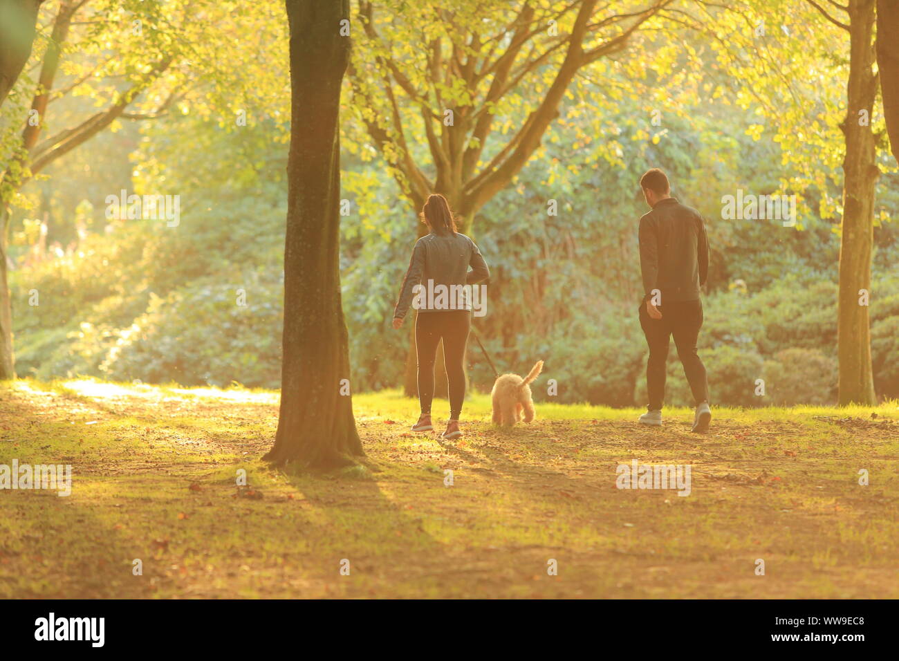 People walk their dogs while out in the September evening light at a ...