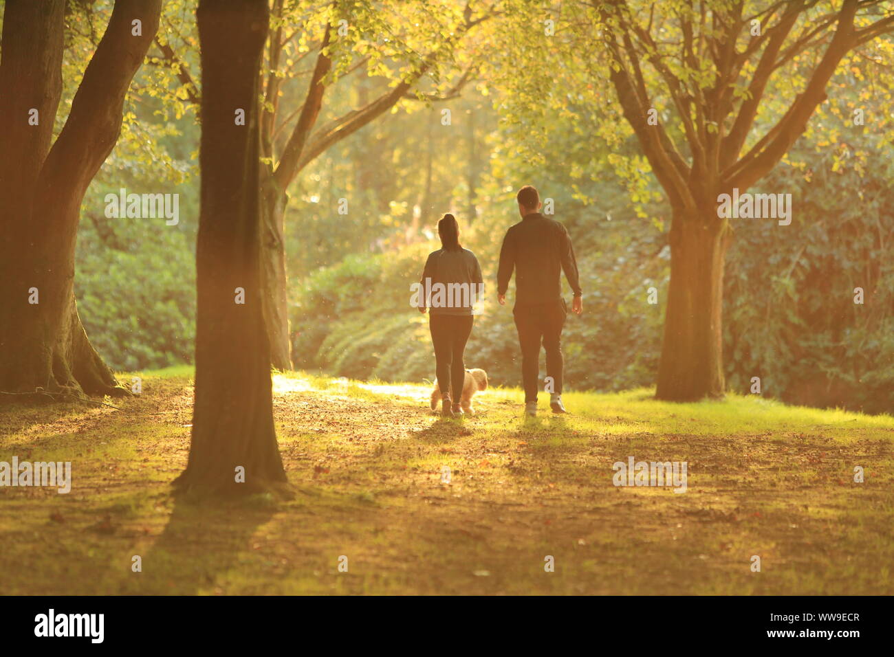 People walk their dogs while out in the September evening light at a park Stock Photo - Alamy
