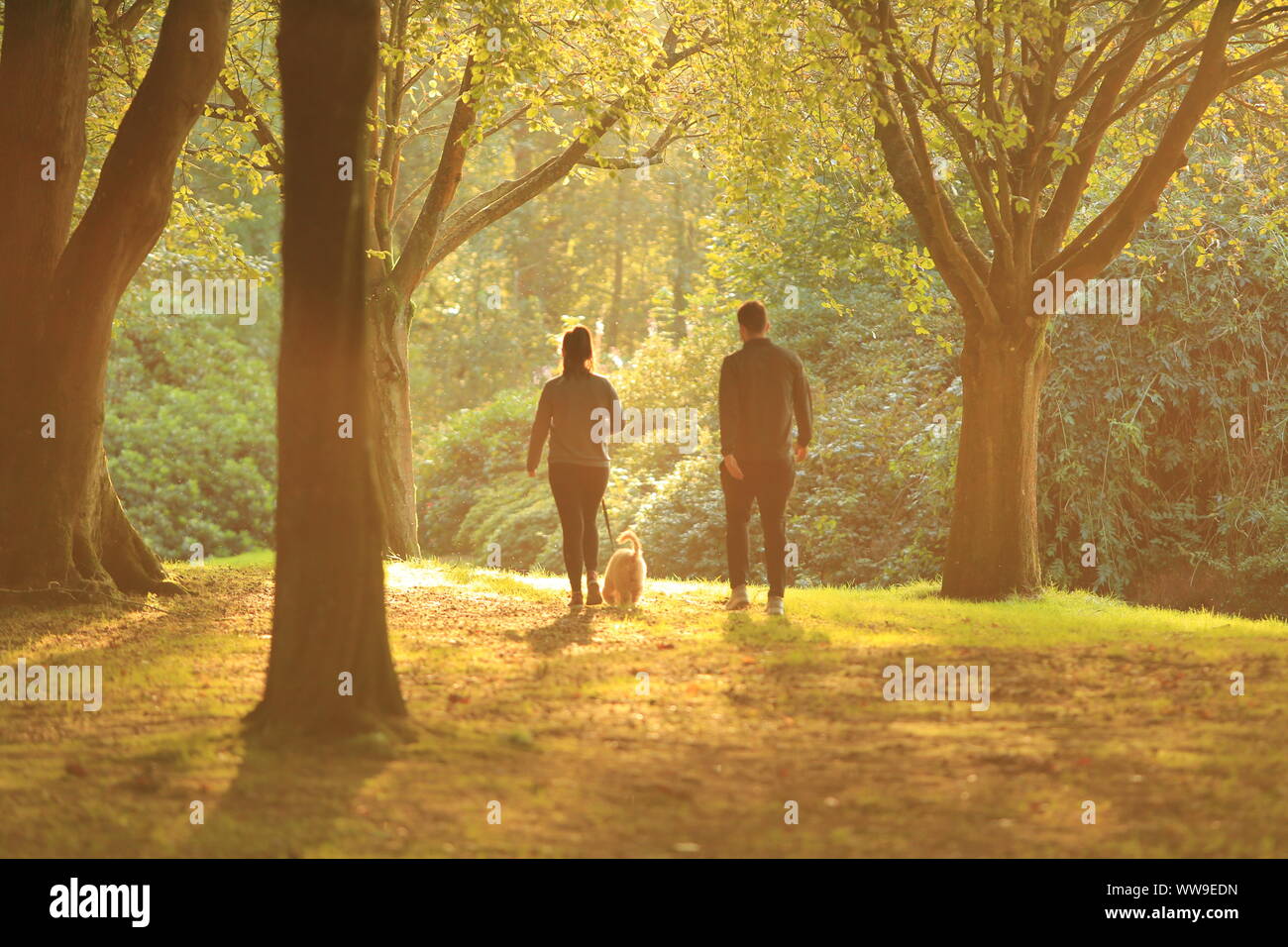 People walk their dogs while out in the September evening light at a park Stock Photo - Alamy