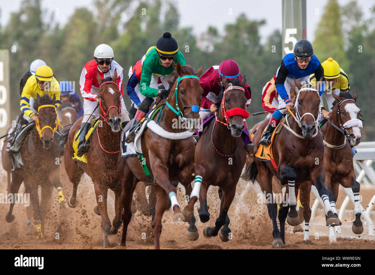 Horse racing at King Khalid Racetrack, Taif, Saudi Arabia, 14/06/2019 ...