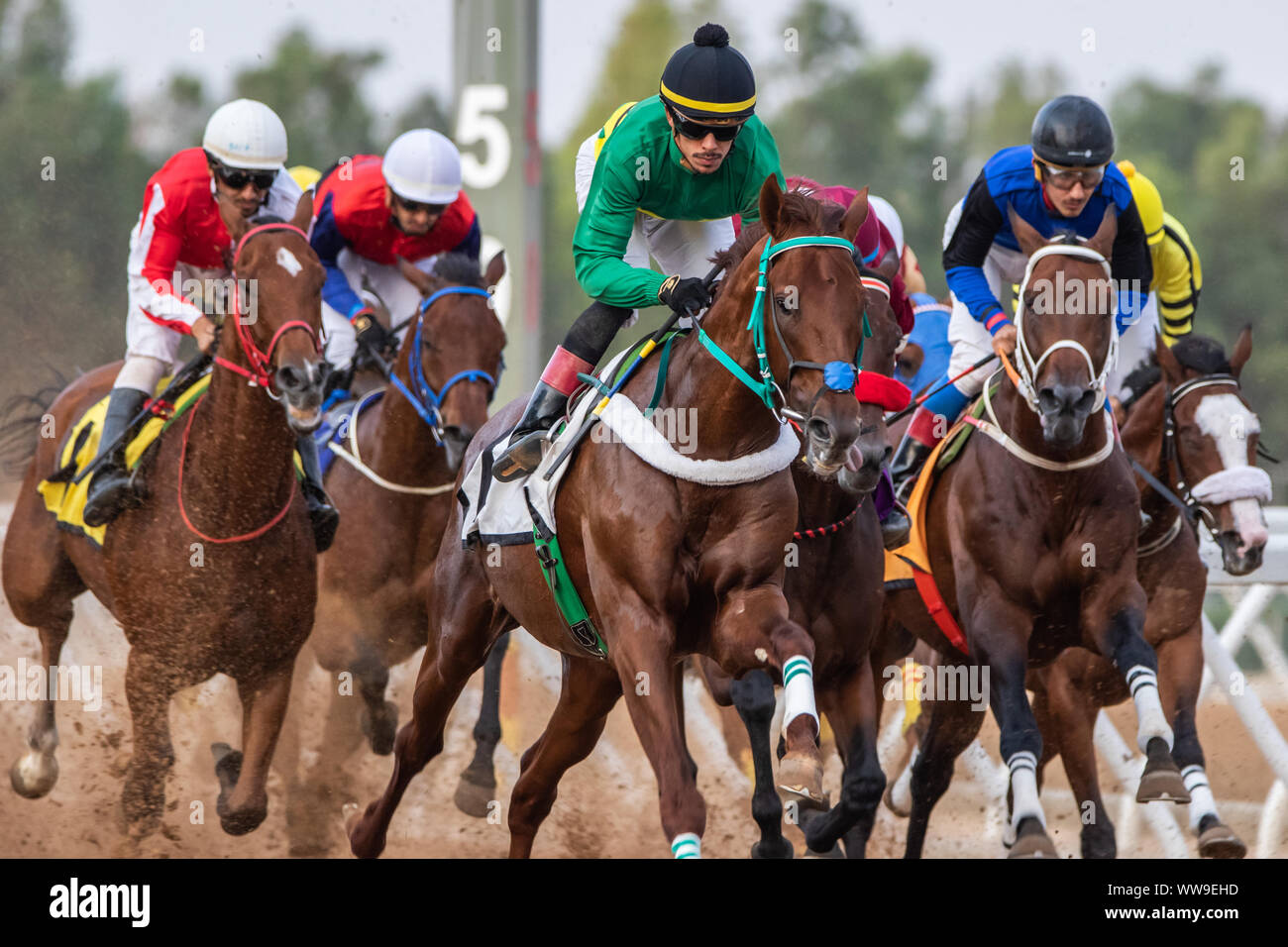 Horse racing at King Khalid Racetrack, Taif, Saudi Arabia, 14/06/2019 ...