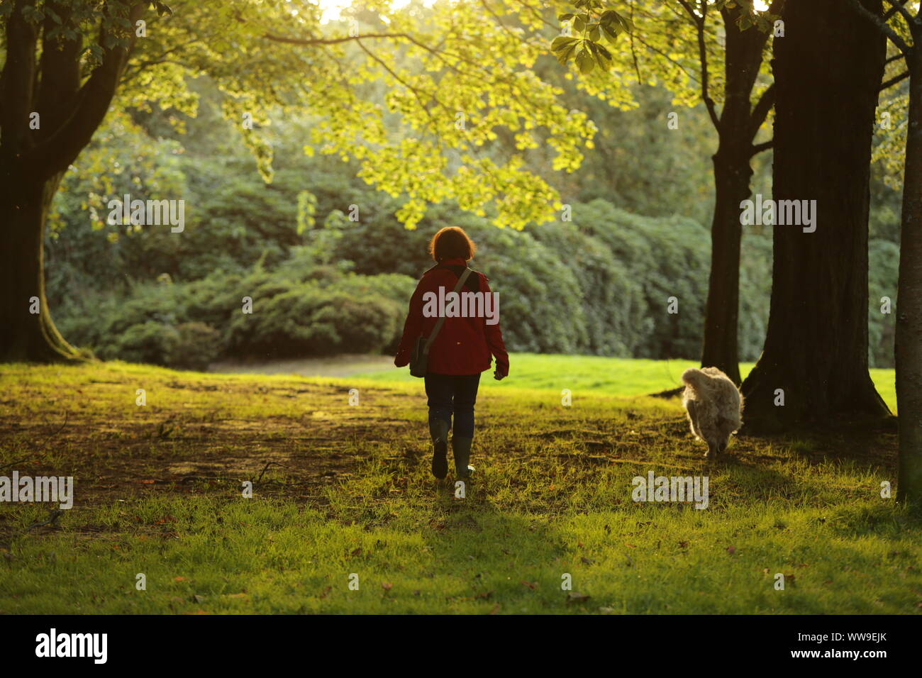 People walk their dogs while out in the September evening light at a ...