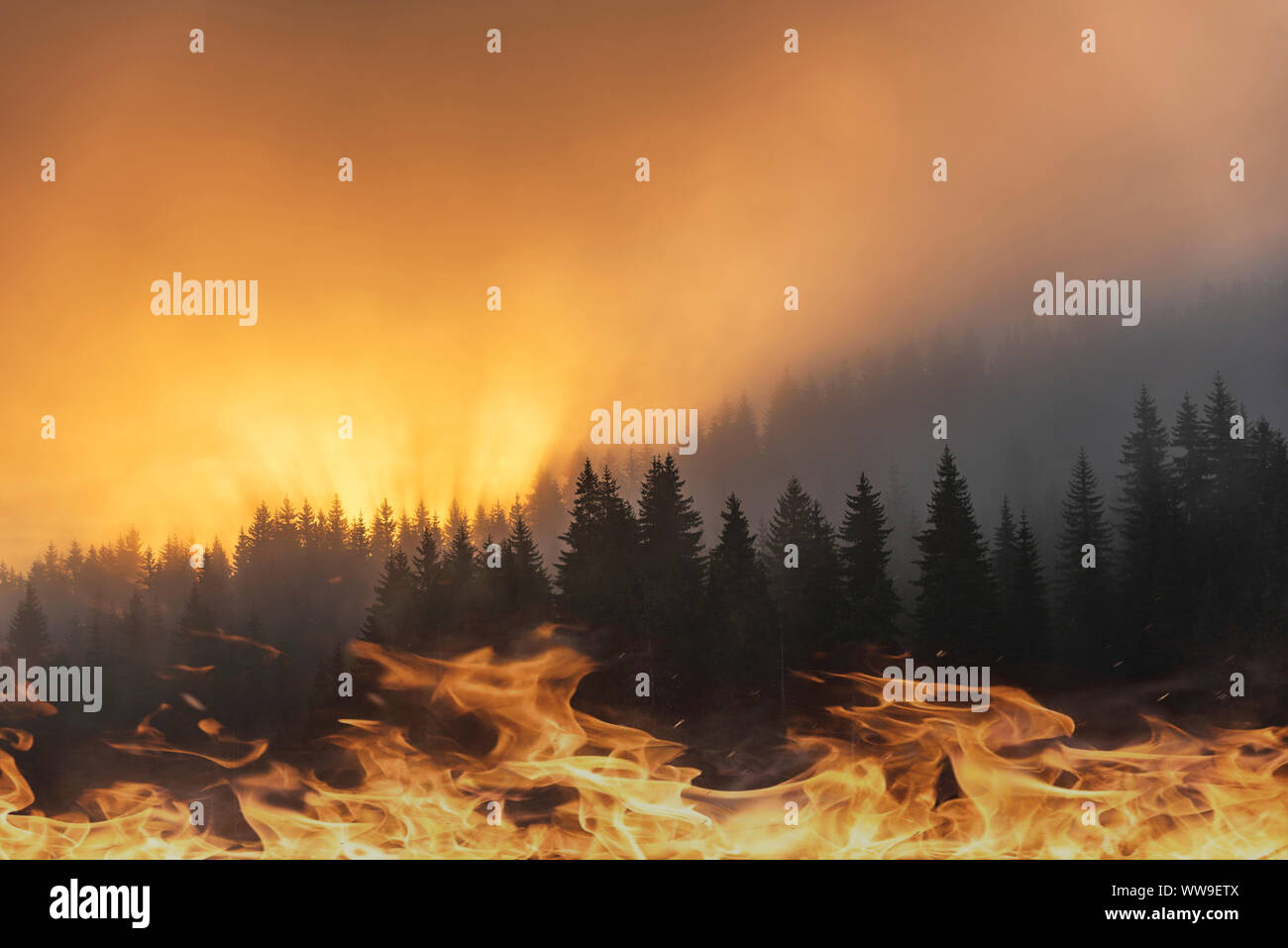 Amazon rainforest fire hi-res stock photography and images - Alamy