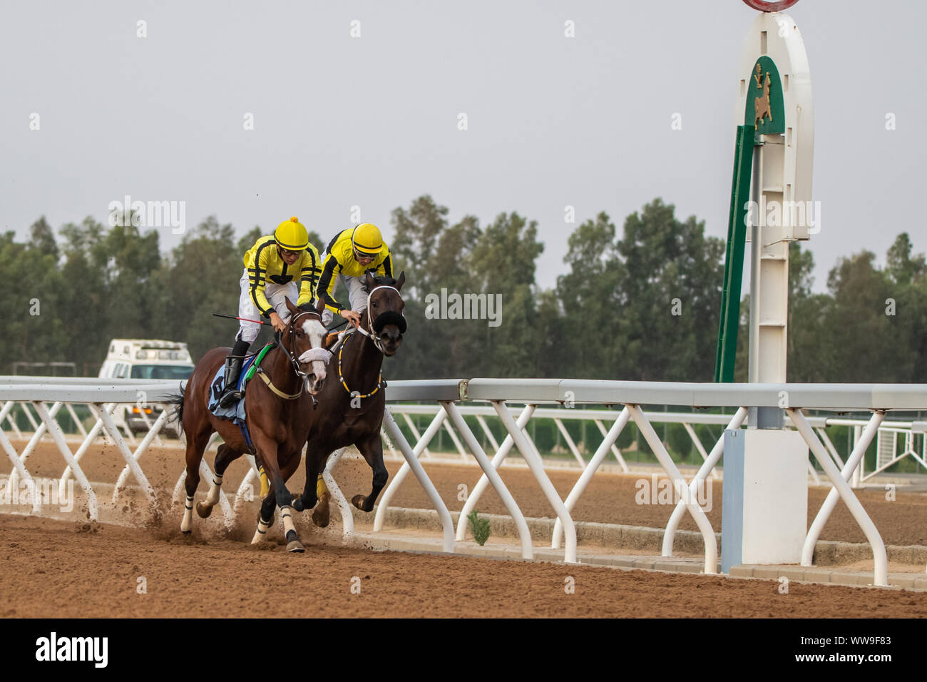 Horse racing at King Khalid Racetrack, Taif, Saudi Arabia, 14/06/2019 ...