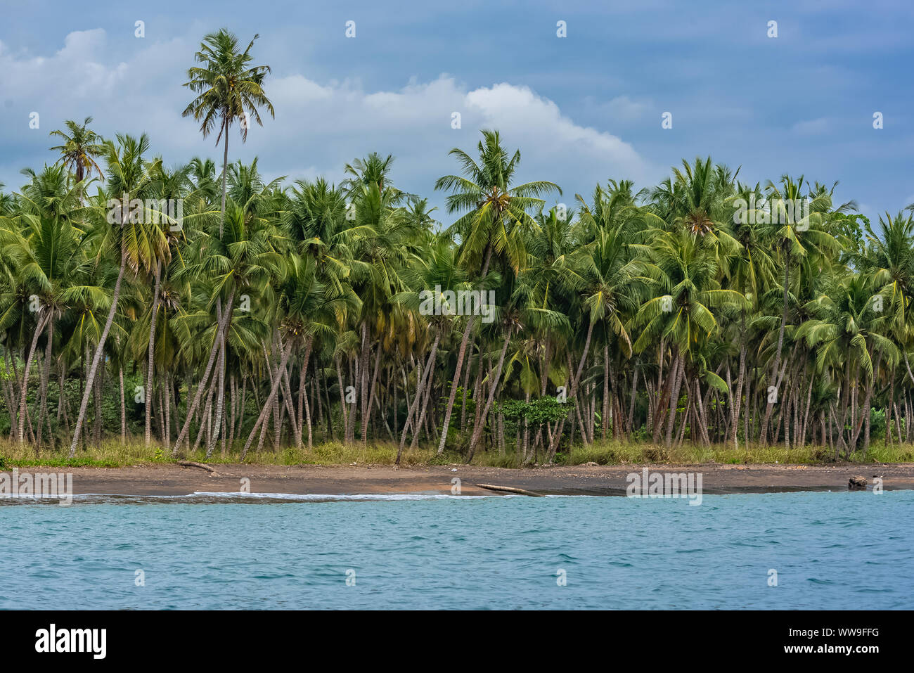 Principe island africa rainforest hi-res stock photography and images ...