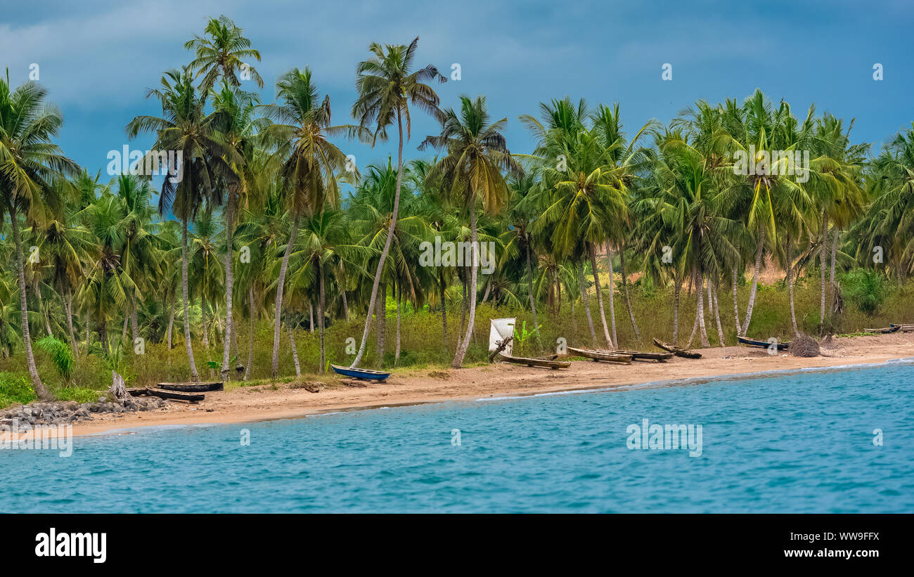 Principe island africa rainforest hi-res stock photography and images ...