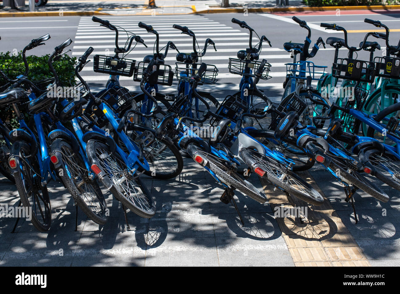Beijing, China - August 16, 2019. Hire bikes in Beijing. The number of ...