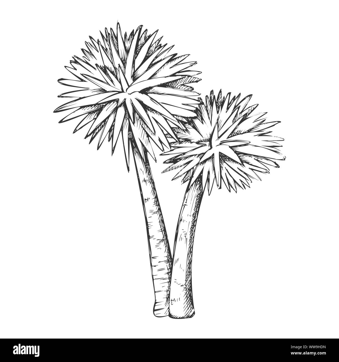 Palm trees tattoo Cut Out Stock Images & Pictures - Alamy
