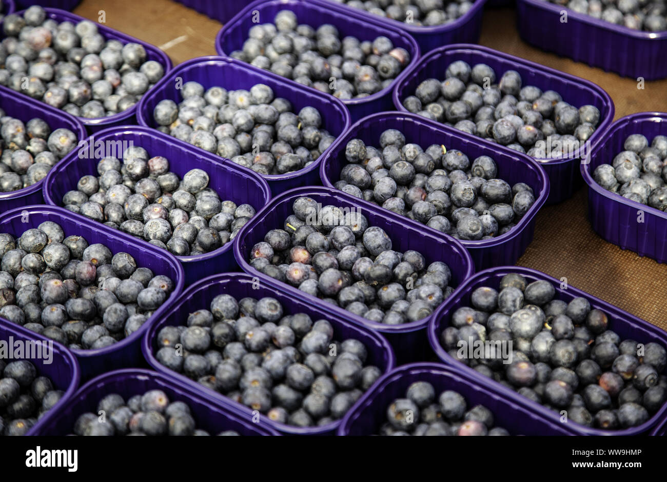 Blueberries in a market, detail of fresh and healthy fruit Stock Photo ...