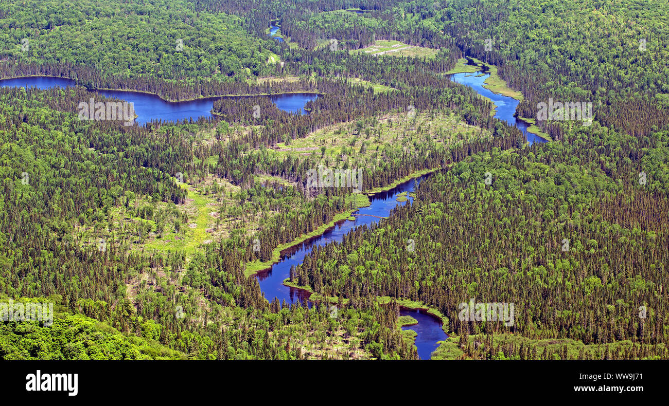 Aerial view of wild forest Stock Photo - Alamy