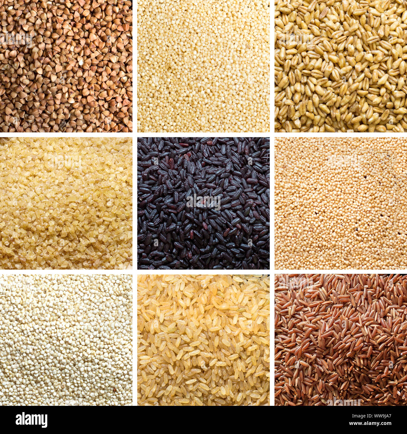 Collage of 9 cereals: buckwheat, millet, spelt, bulgur, black rice ...