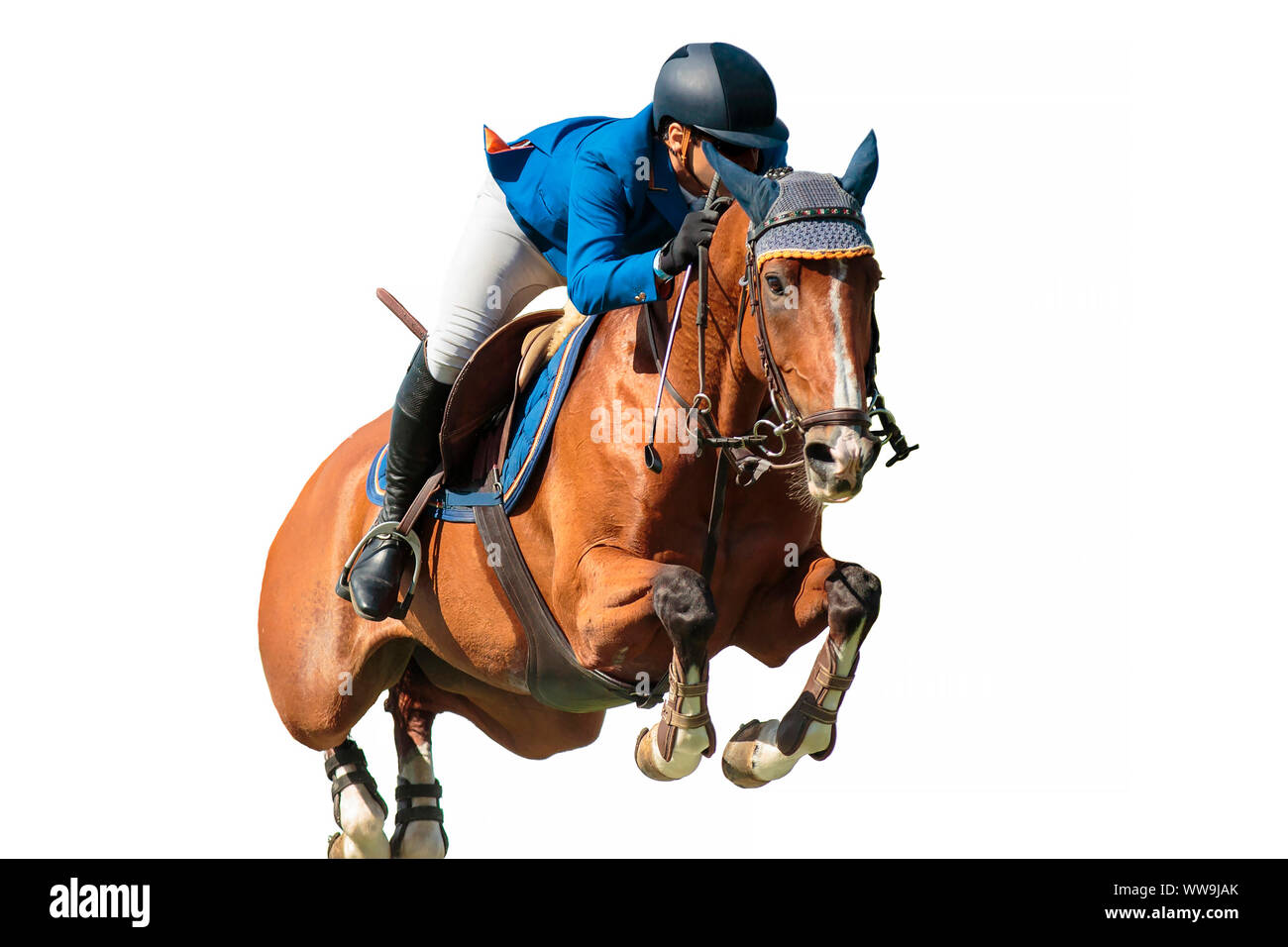 Cool Horse Jumping Backgrounds