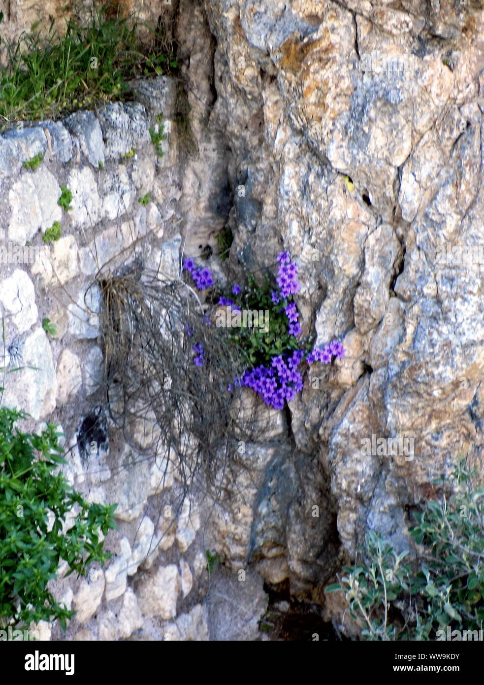 Akrokorinthos hi-res stock photography and images - Alamy