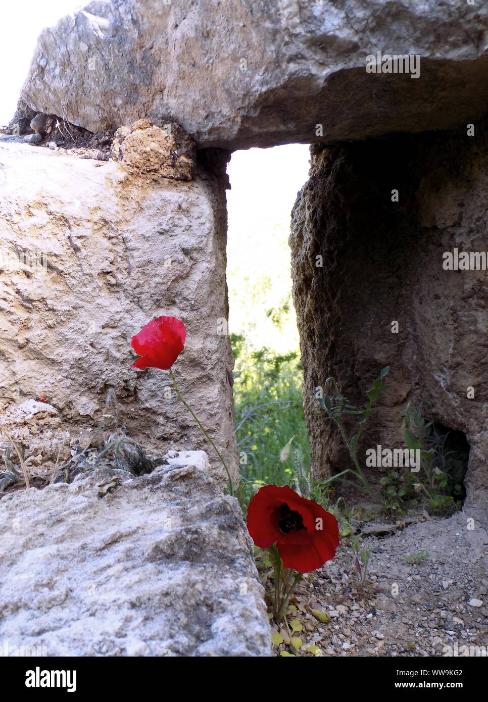 Akrokorinthos hi-res stock photography and images - Alamy