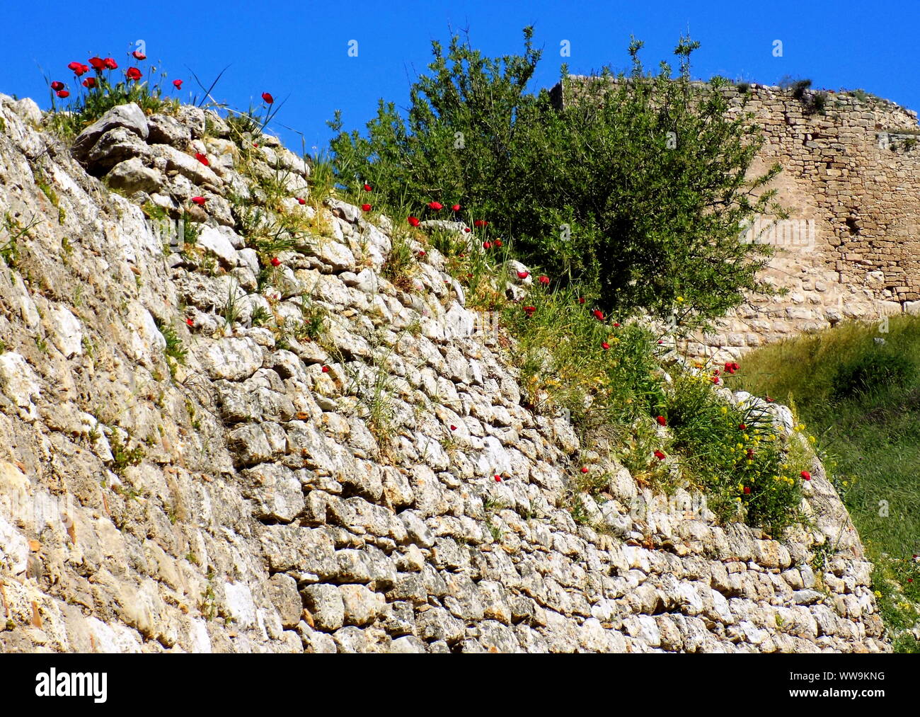Akrokorinthos hi-res stock photography and images - Alamy