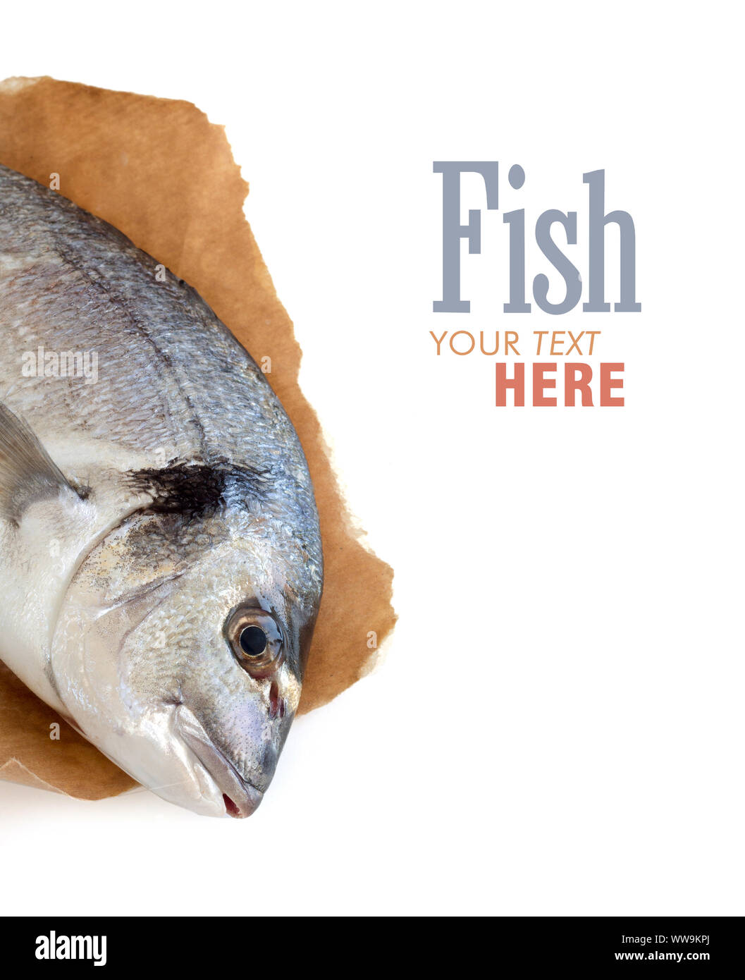 Fresh dorado fish on paper isolated on white border Stock Photo - Alamy