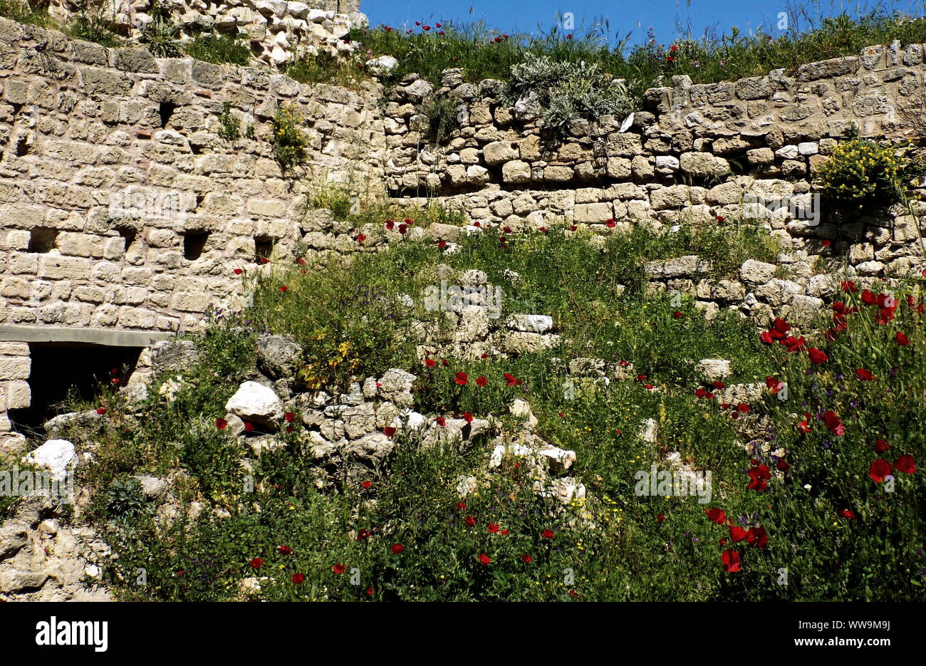 Akrokorinthos hi-res stock photography and images - Alamy