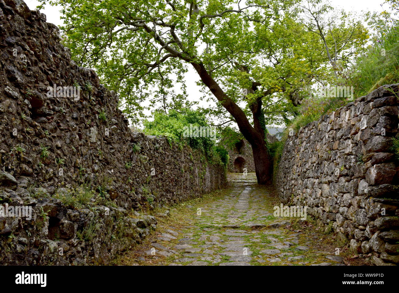 castle, mistras, medieval, town, Byzantine, church, Agios Xristoforos ...