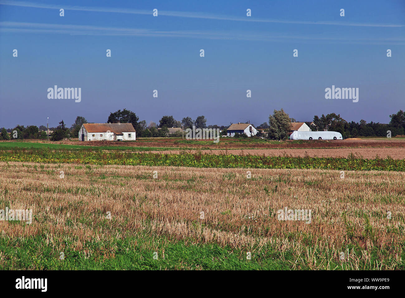 Fields and forests of Poland Stock Photo - Alamy