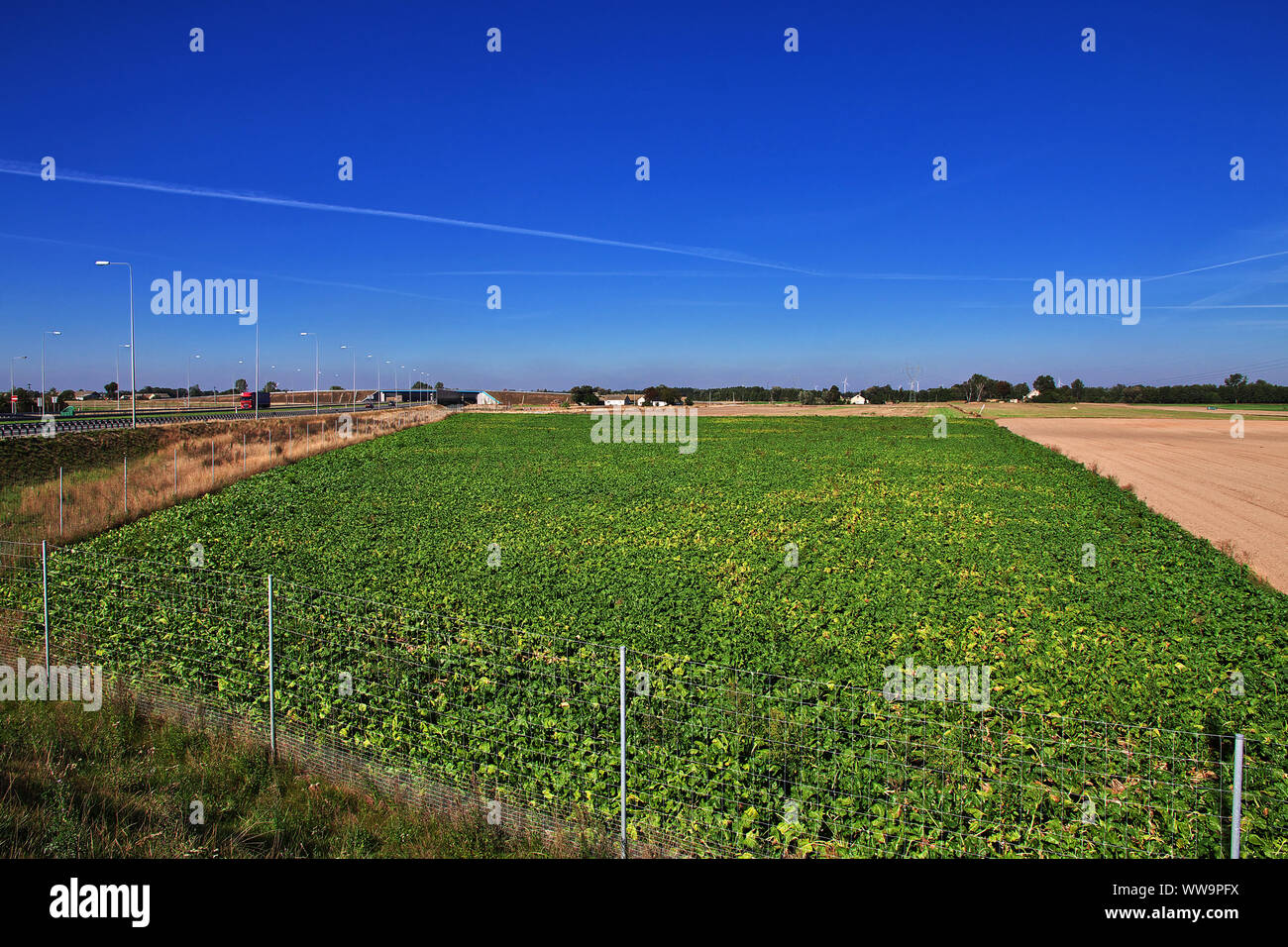Fields and forests of Poland Stock Photo - Alamy