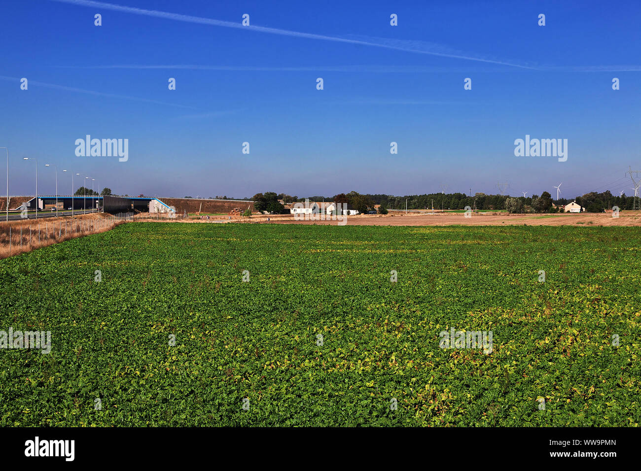 Fields and forests of Poland Stock Photo - Alamy