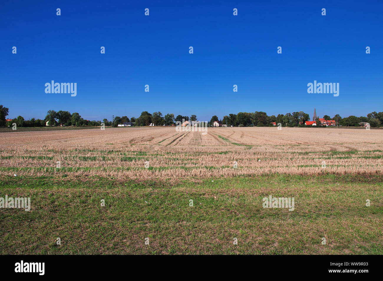Fields and forests of Poland Stock Photo - Alamy