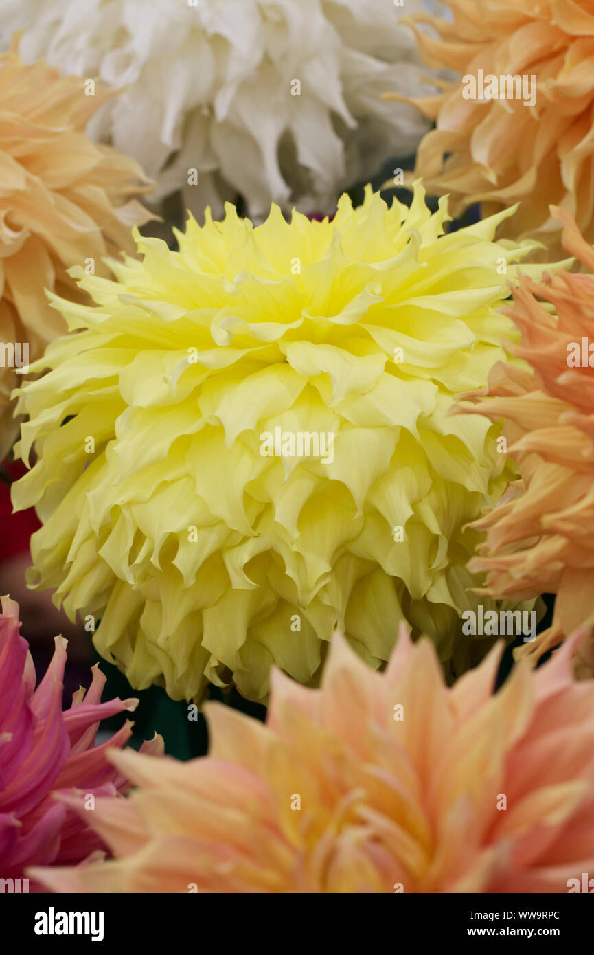 Season mark hi-res stock photography and images - Alamy