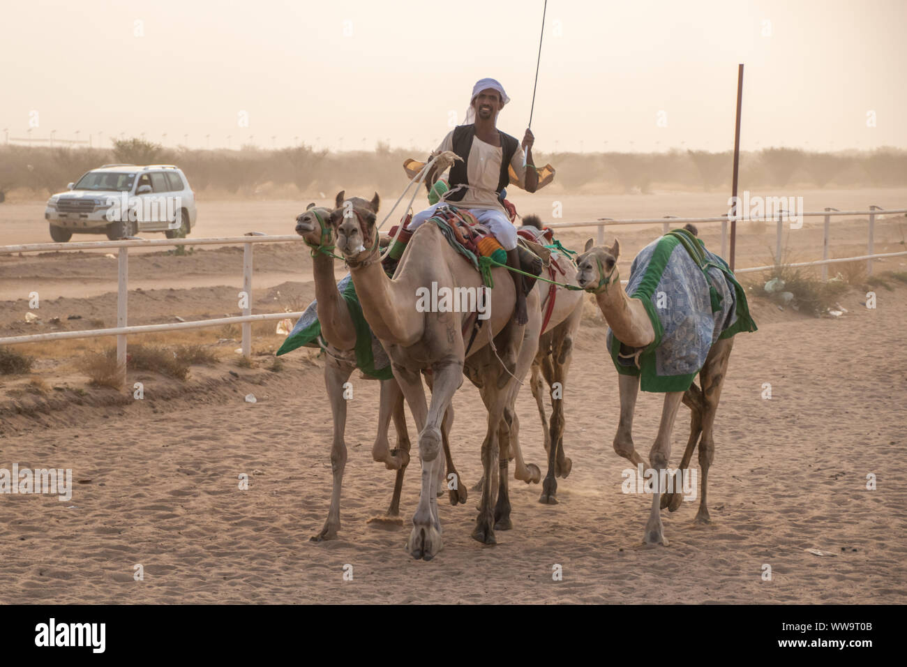 Camel Racing in Taif, Saudi Arabia Stock Photo - Alamy