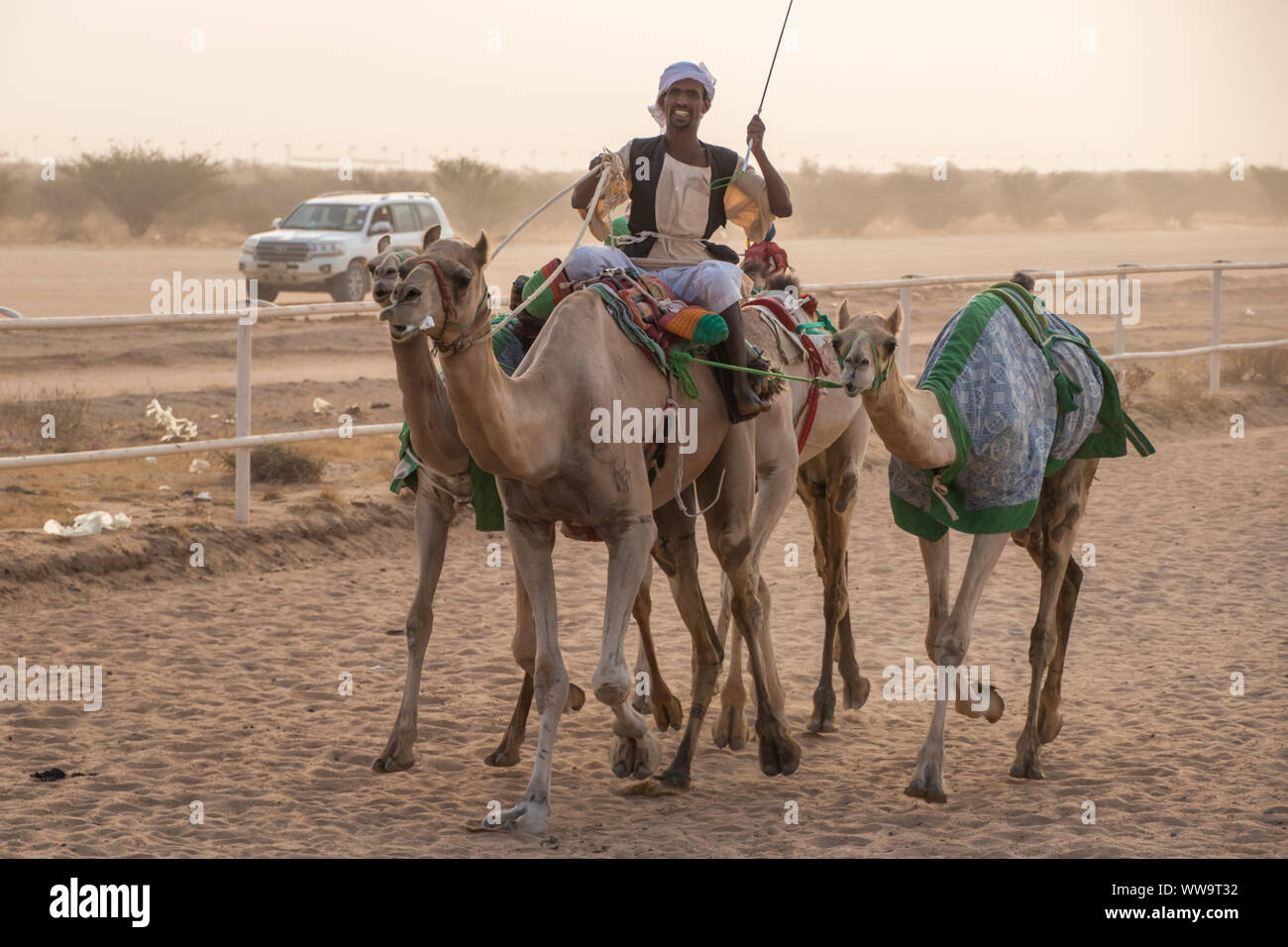 Camel Racing in Taif, Saudi Arabia Stock Photo - Alamy