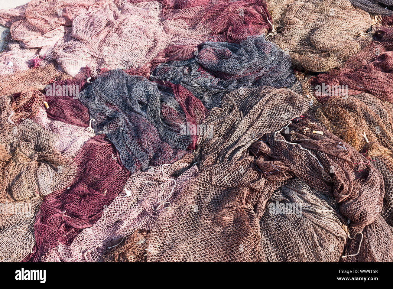 Fishing net pollution hi-res stock photography and images - Alamy