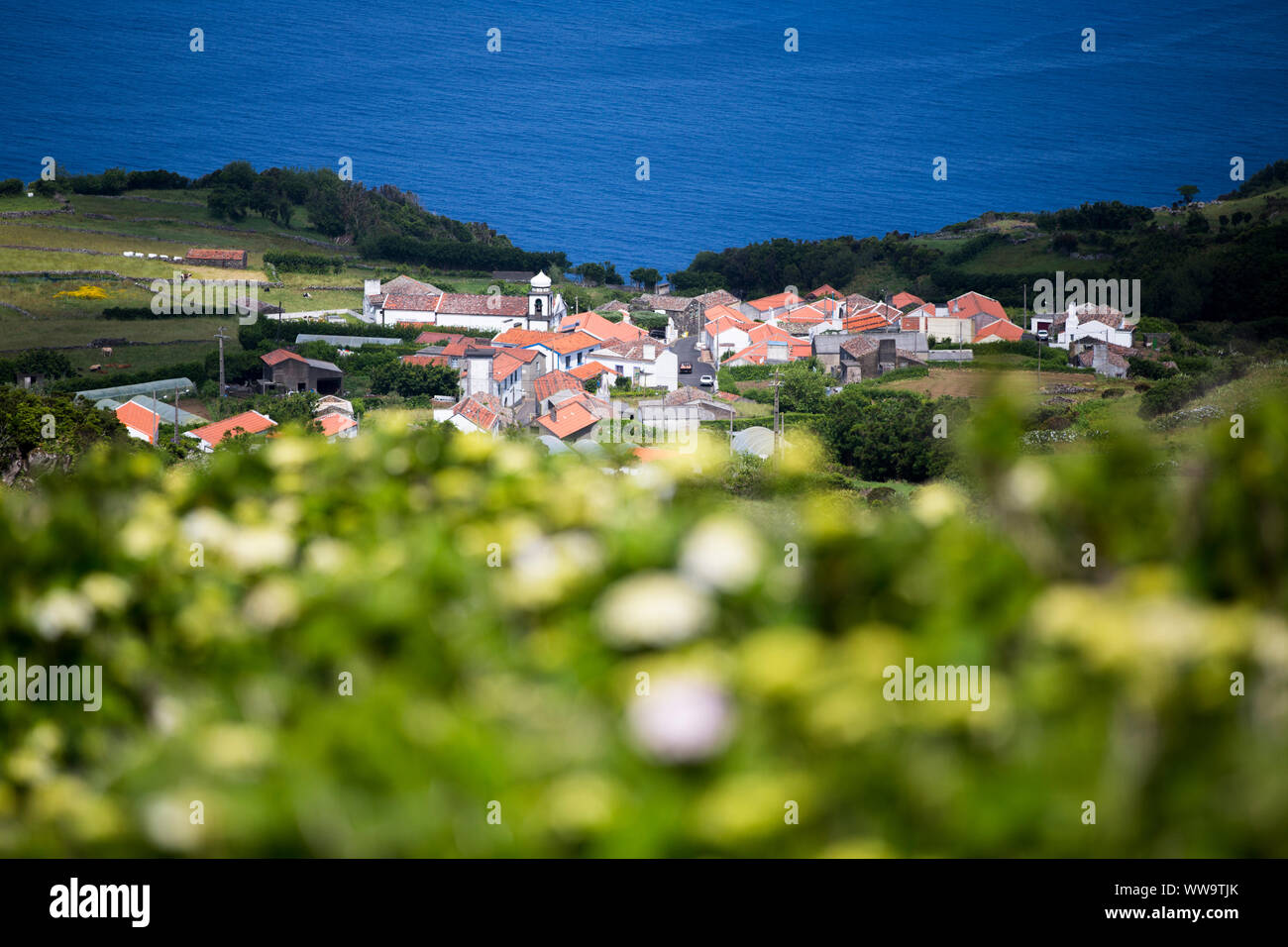 Village in the island of Flores. Azores, Portugal Stock Photo - Alamy