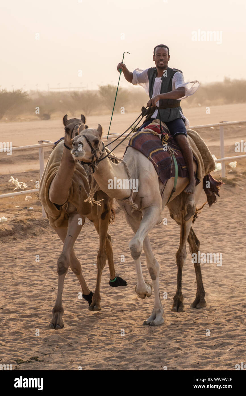 Camel Racing in Taif, Saudi Arabia Stock Photo - Alamy
