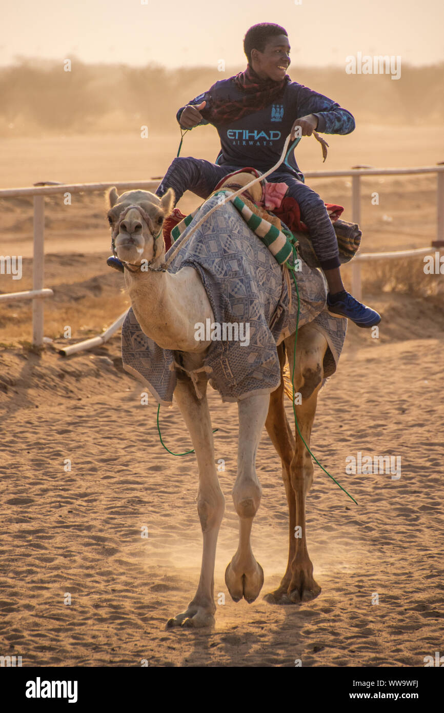 Camel Racing in Taif, Saudi Arabia Stock Photo - Alamy
