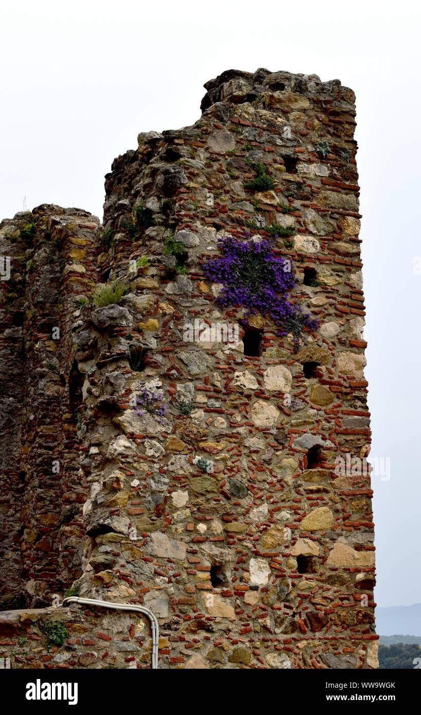 castle, mistras, medieval, town, Byzantine, house, church, monastery ...