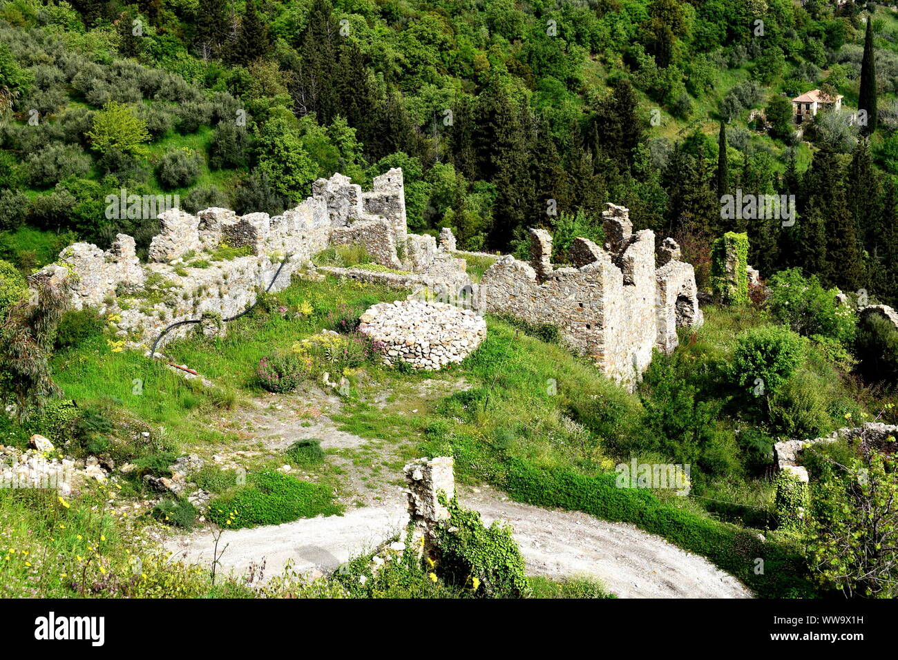 castle, mistras, medieval, town, Byzantine, house, church, monastery ...