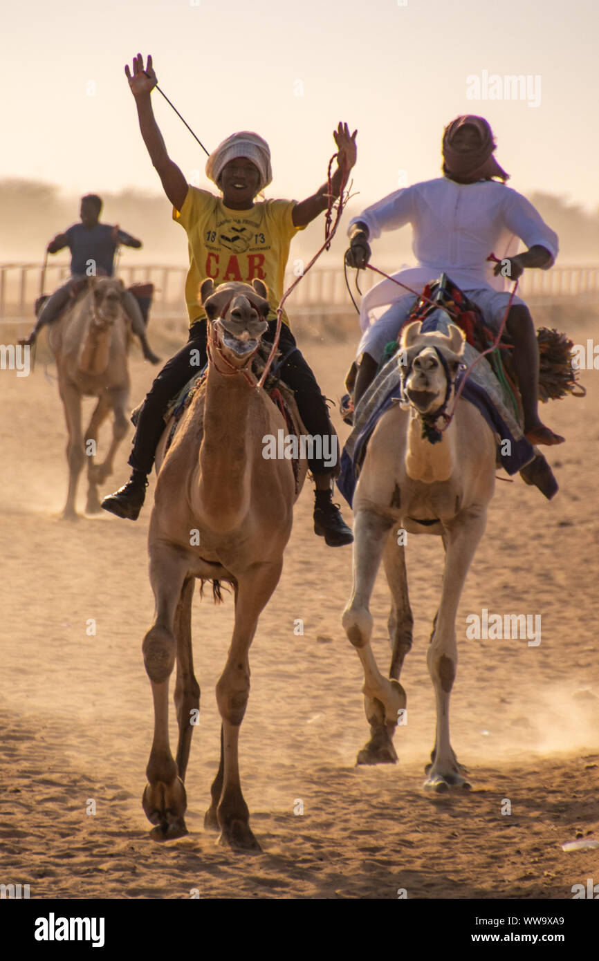 Camel Racing in Taif, Saudi Arabia Stock Photo - Alamy