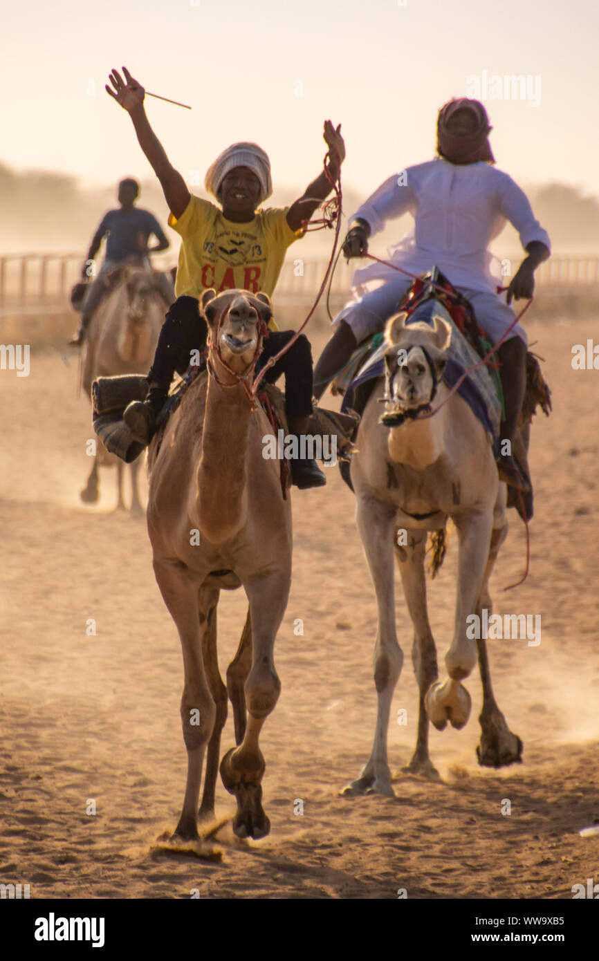 Camel Racing in Taif, Saudi Arabia Stock Photo - Alamy