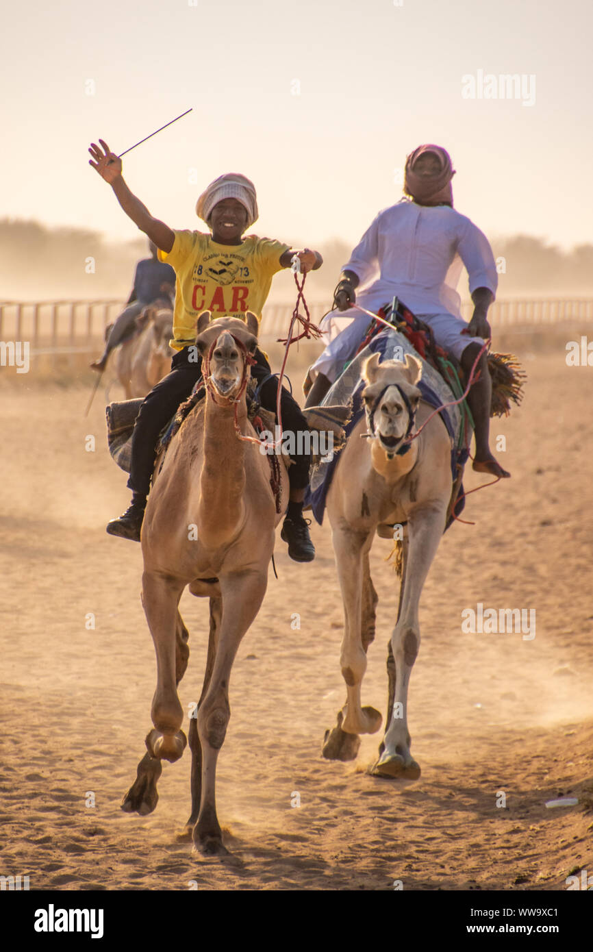 Camel Racing in Taif, Saudi Arabia Stock Photo - Alamy