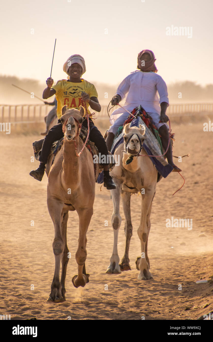 Camel Racing in Taif, Saudi Arabia Stock Photo - Alamy