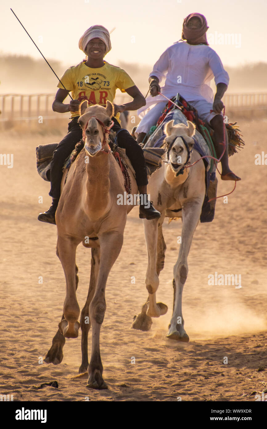 Camel Racing in Taif, Saudi Arabia Stock Photo - Alamy