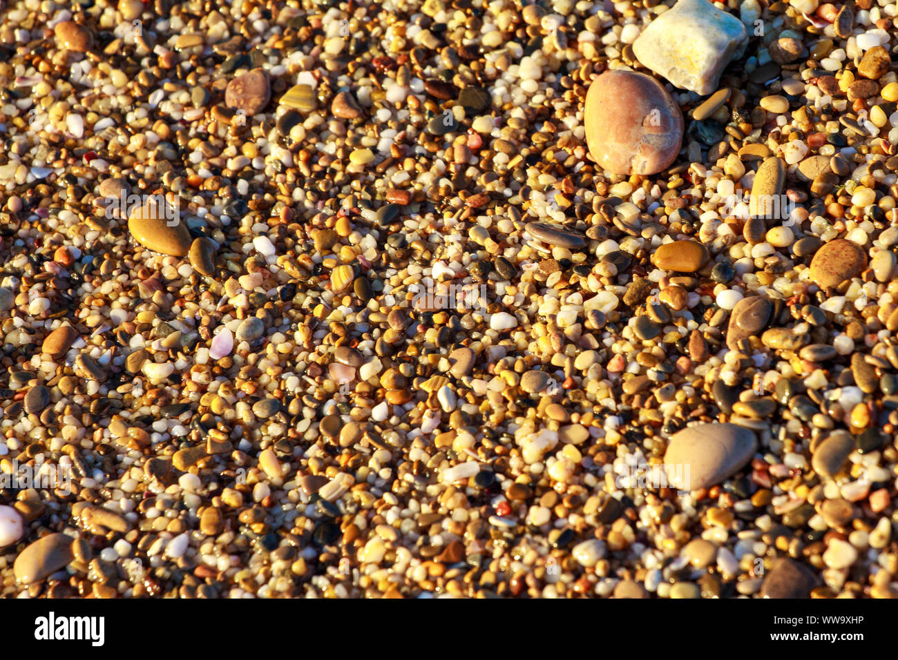 sea pebbles colored granite on the beach background stones. The shore ...