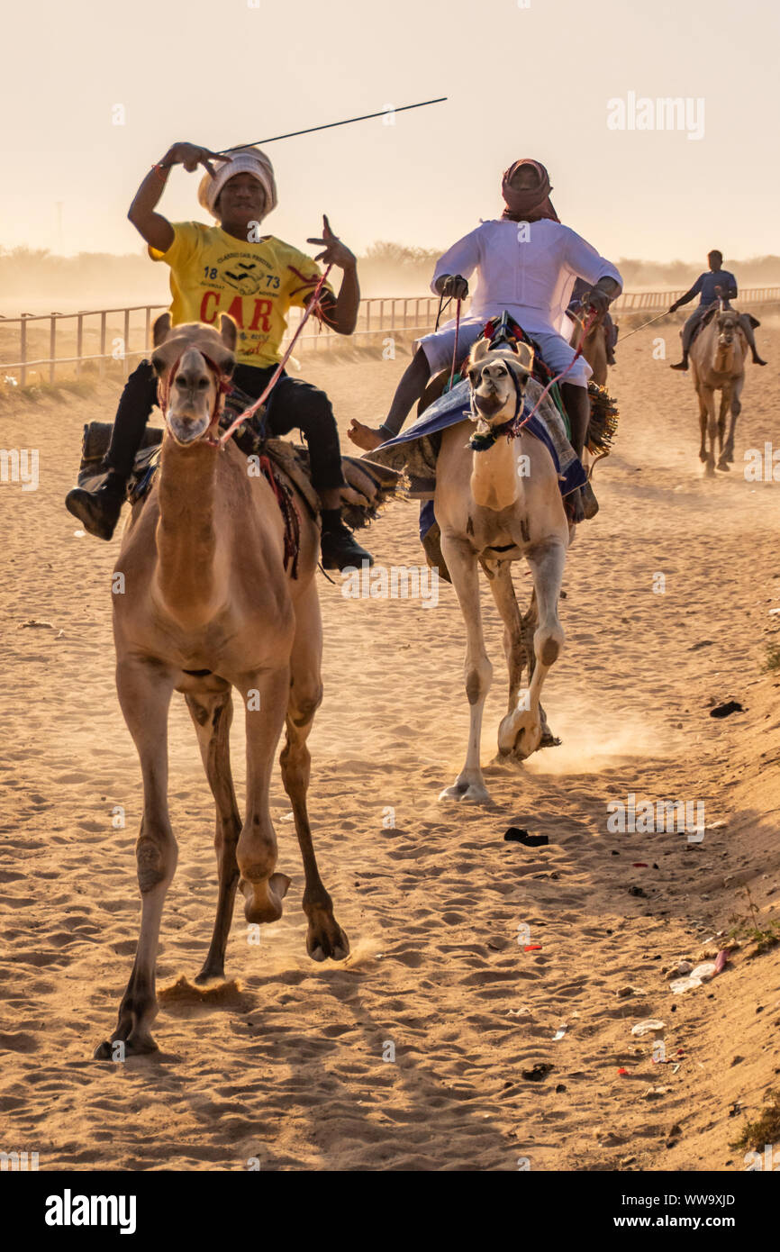 Camel Racing in Taif, Saudi Arabia Stock Photo - Alamy